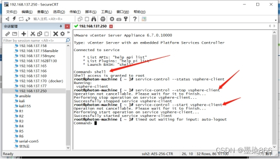 VCenter6.7 Web访问提示503 Service Unavailable_vcenter 503 service ...