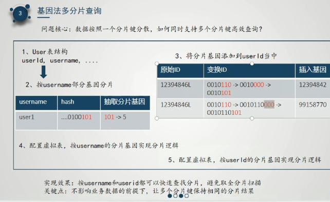 主从备份与分表策略：MySQL ShardingSphere实战教程-CSDN博客