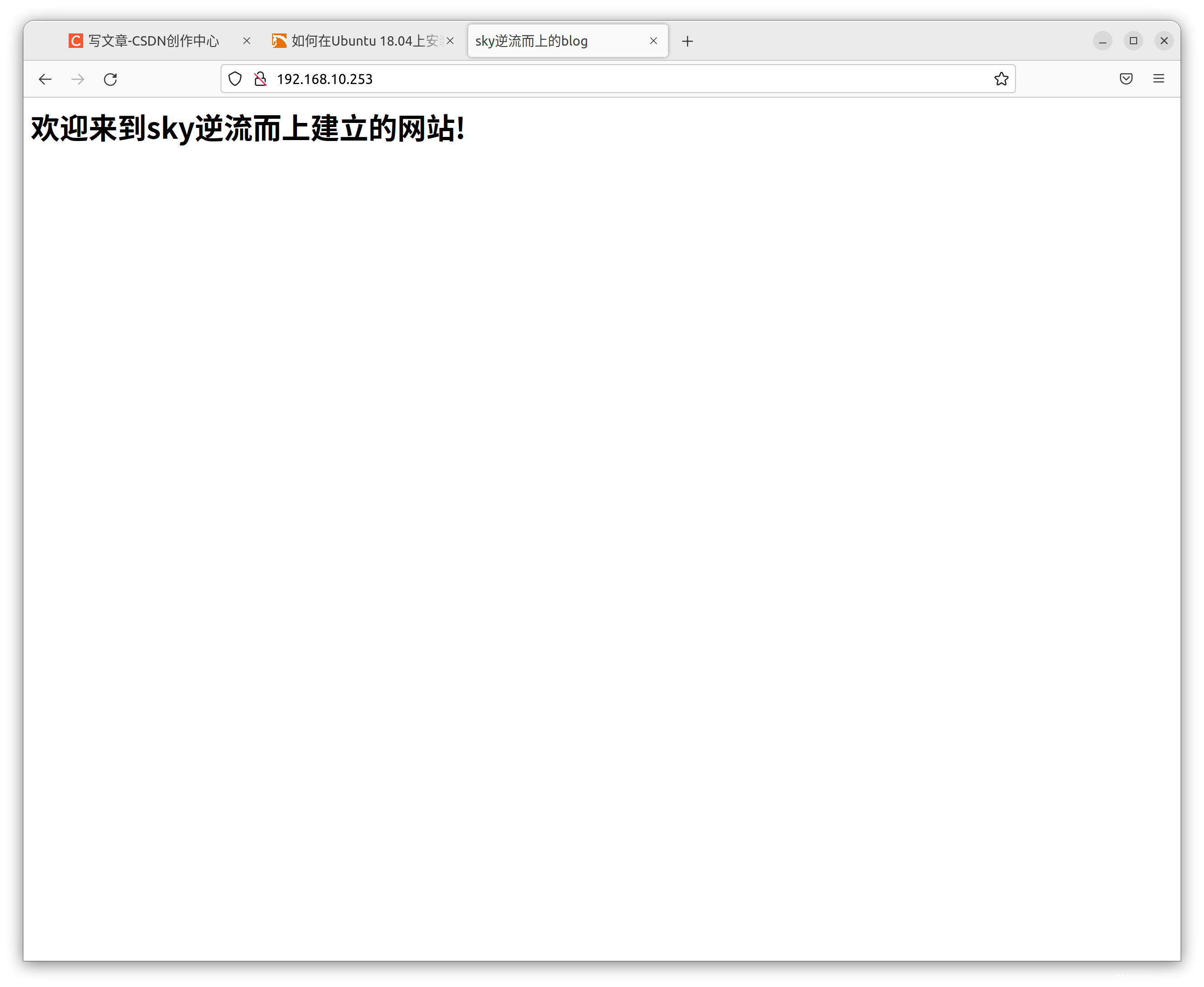 linux(ubuntu)搭建web服务器_linux ubuntu 20 04 4 搭建全限定域名web-CSDN博客