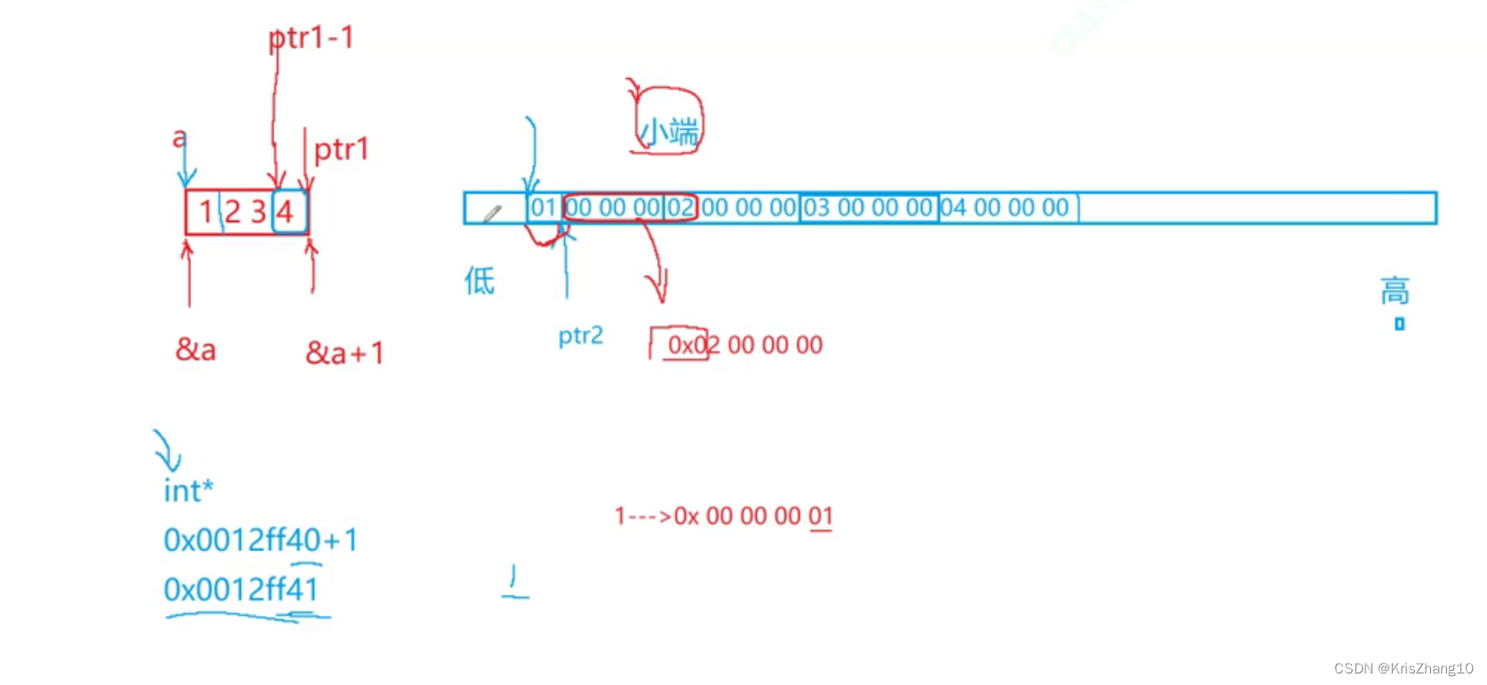 数组与指针内存理解：sizeof,&运算与数组地址-CSDN博客