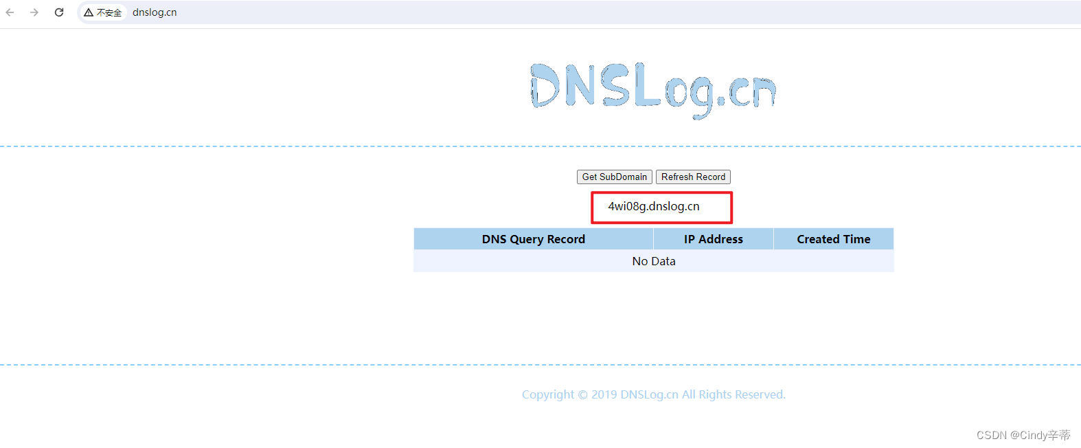 分享一个dnslog在线平台-CSDN博客