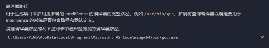 VSCode detects #include errors, please update Includepath. For this reason, the translation unit ...