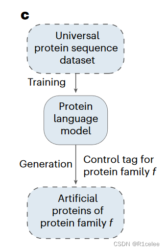 Large language models generate functional protein sequences across ...