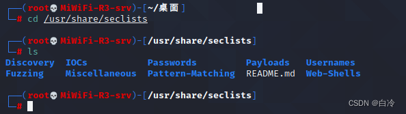 kali Linux 各种字典工具-seclists的下载_seclists下载-CSDN博客