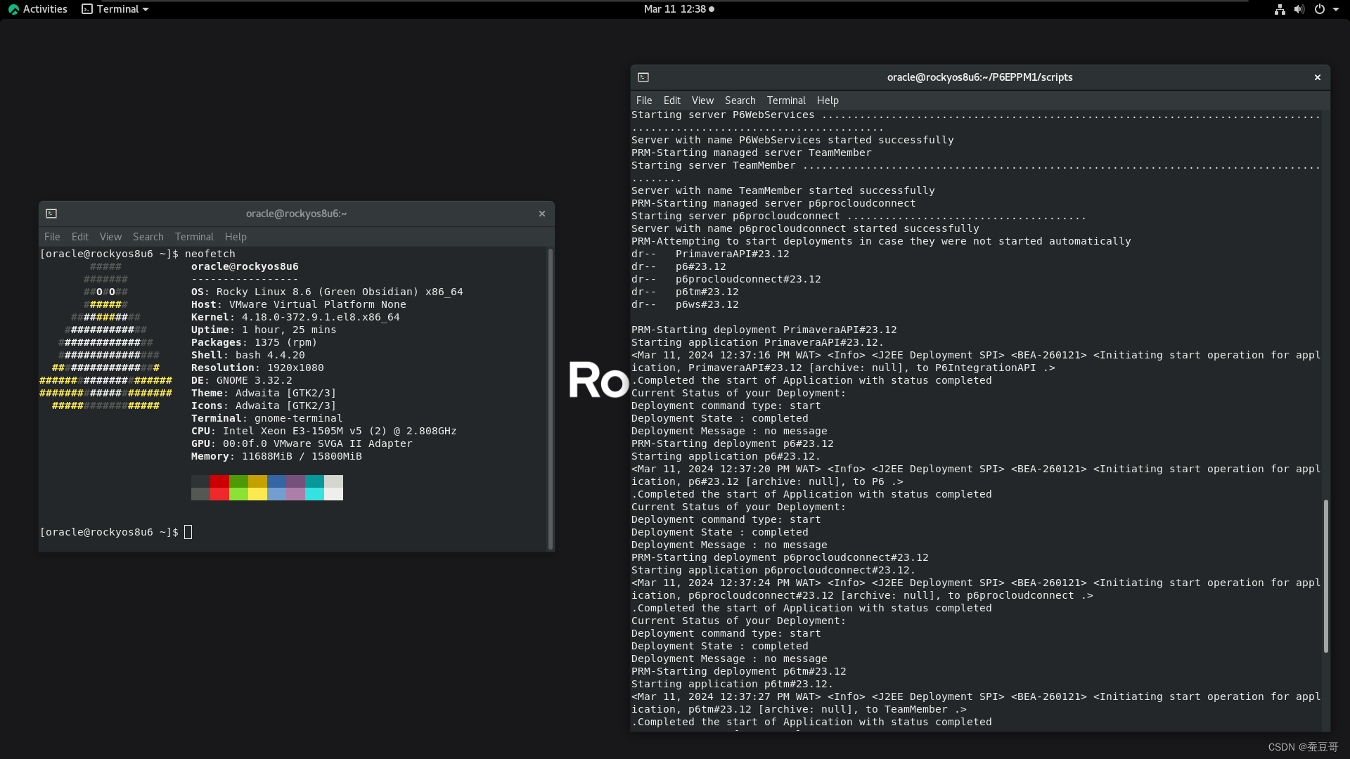 Rocky Linux - Primavera P6 EPPM 安装及分享-CSDN博客