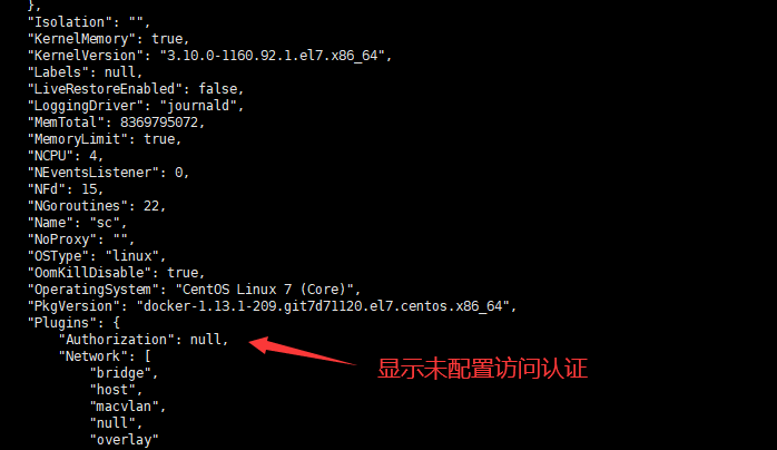 Docker 远程API未授权及Tenable扫描测试_docker api 未授权-CSDN博客
