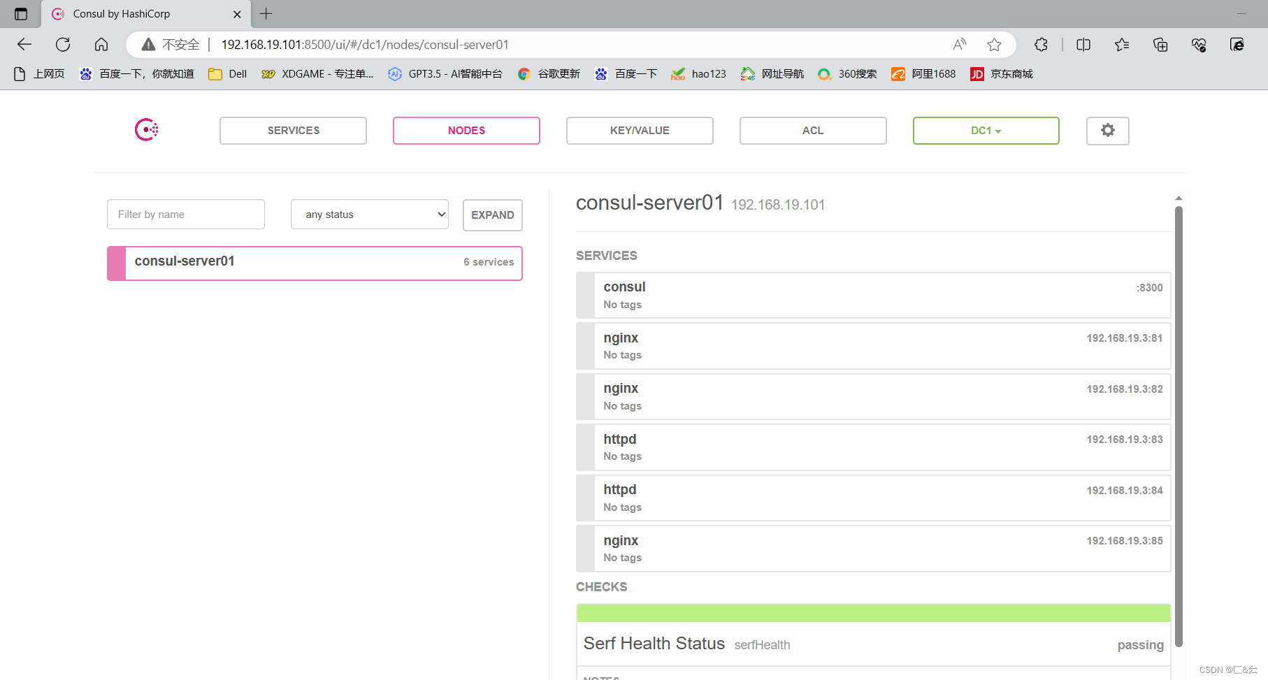 docker之Consul环境的部署_docker 安装consul-CSDN博客