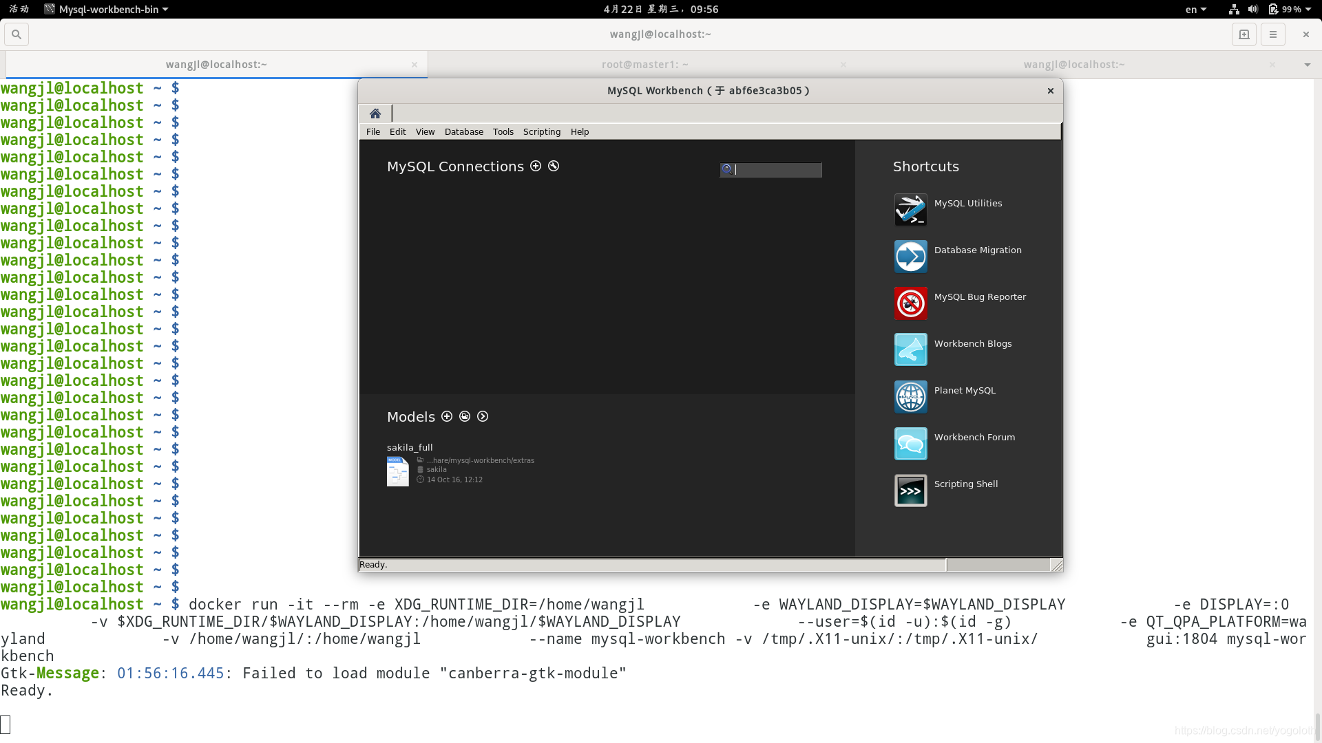 通过docker使用wayland和x11的gui程序_wayland live user 密码-CSDN博客