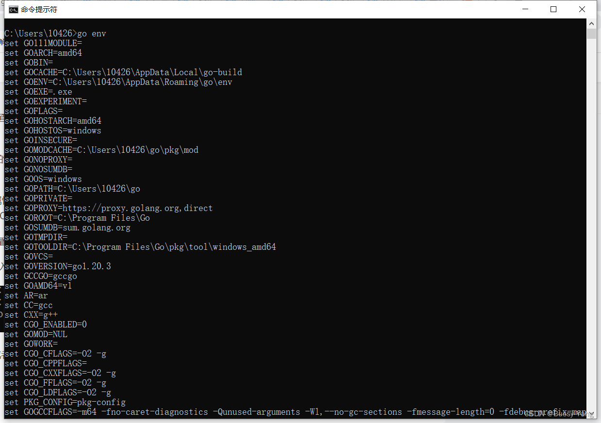 【golang学习笔记】——（一）安装golang_golang 安装-CSDN博客
