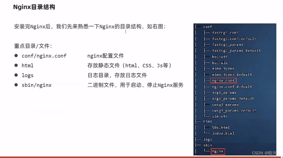 Nginx学习笔记-CSDN博客