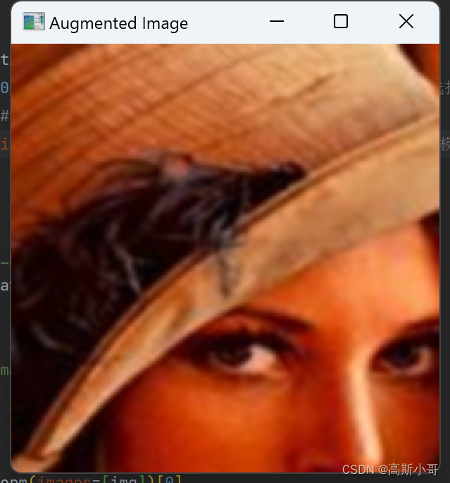 imgaug库图像增强指南（1）：imgaug简介与安装指南-CSDN博客