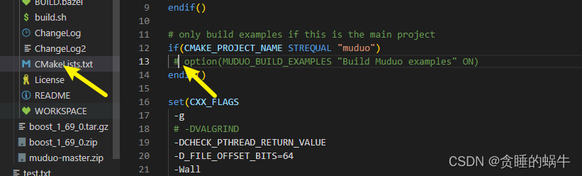 linux系统搭建Boost和muduo环境_linux 添加muduo-CSDN博客