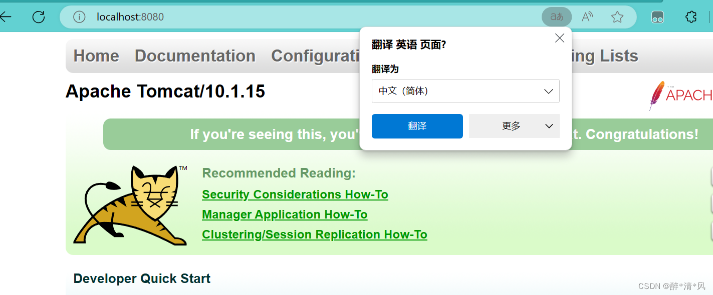 Tomcat遇到的一个简单的智障问题（附我的安装教程）_tomcat10.1兼容jdk19-CSDN博客