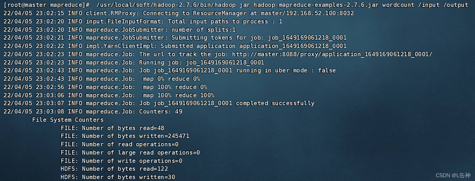 hadoop（二）Hadoop概述、基本命令以及hafs shell_hadoop -count-CSDN博客