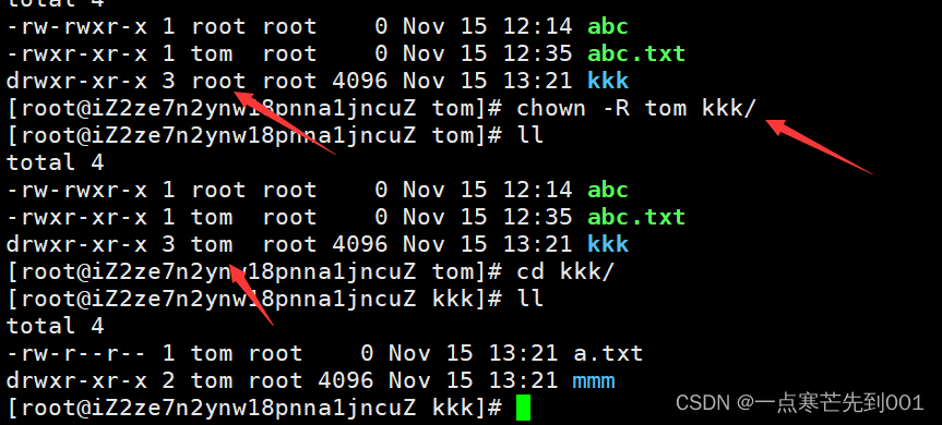 Linux 文件权限与用户管理：chmod、chown 和 chgrp 操作详解-CSDN博客