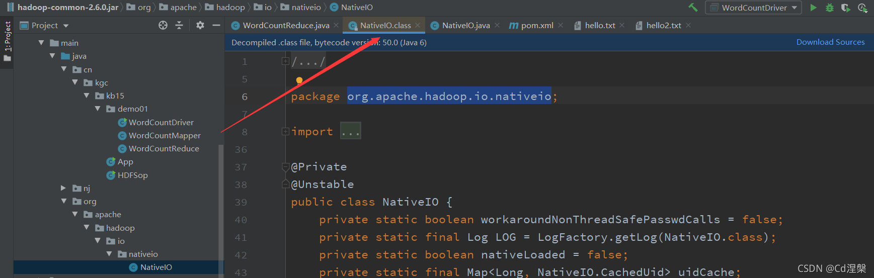 IDEA遇到Exception in thread “main“ java.lang.UnsatisfiedLinkError: org.apache.hadoop.io.nativeio ...