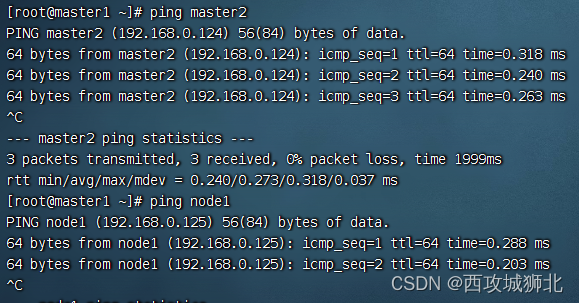 【安装部署】linux环境使用sealos快速安装k8s集群_sealos安装和部署-CSDN博客