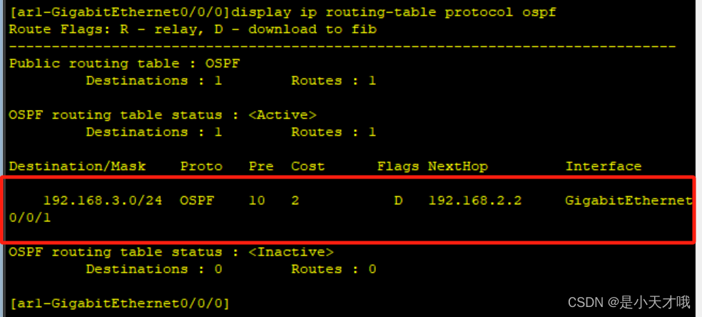 OSPF-OSPF基础_ospf工作区域-CSDN博客