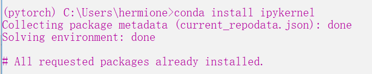python3.9+Anaconda+pytorch+Jupyter安装教程_python3.9安装pytorch命令-CSDN博客