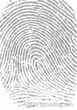 python指纹识别算法（亲测代码可用）_python fingerprint-CSDN博客
