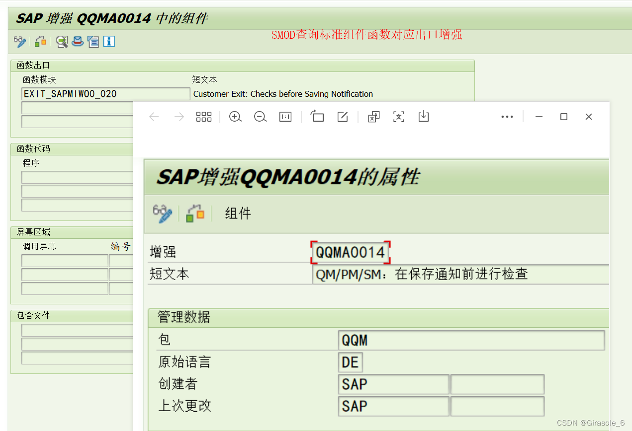 SAP系统中的增强技术详解-CSDN博客