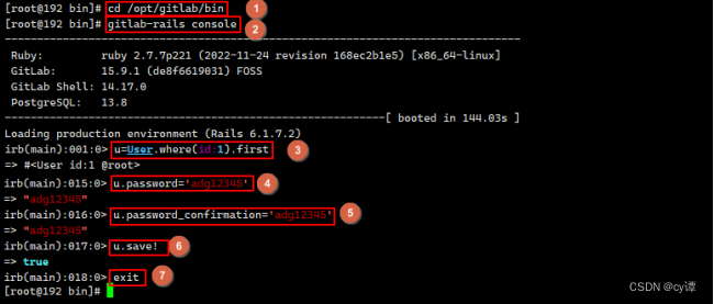 DevOps平台之GitLab离线安装【一】_validation failed: password must not contain commo-CSDN博客