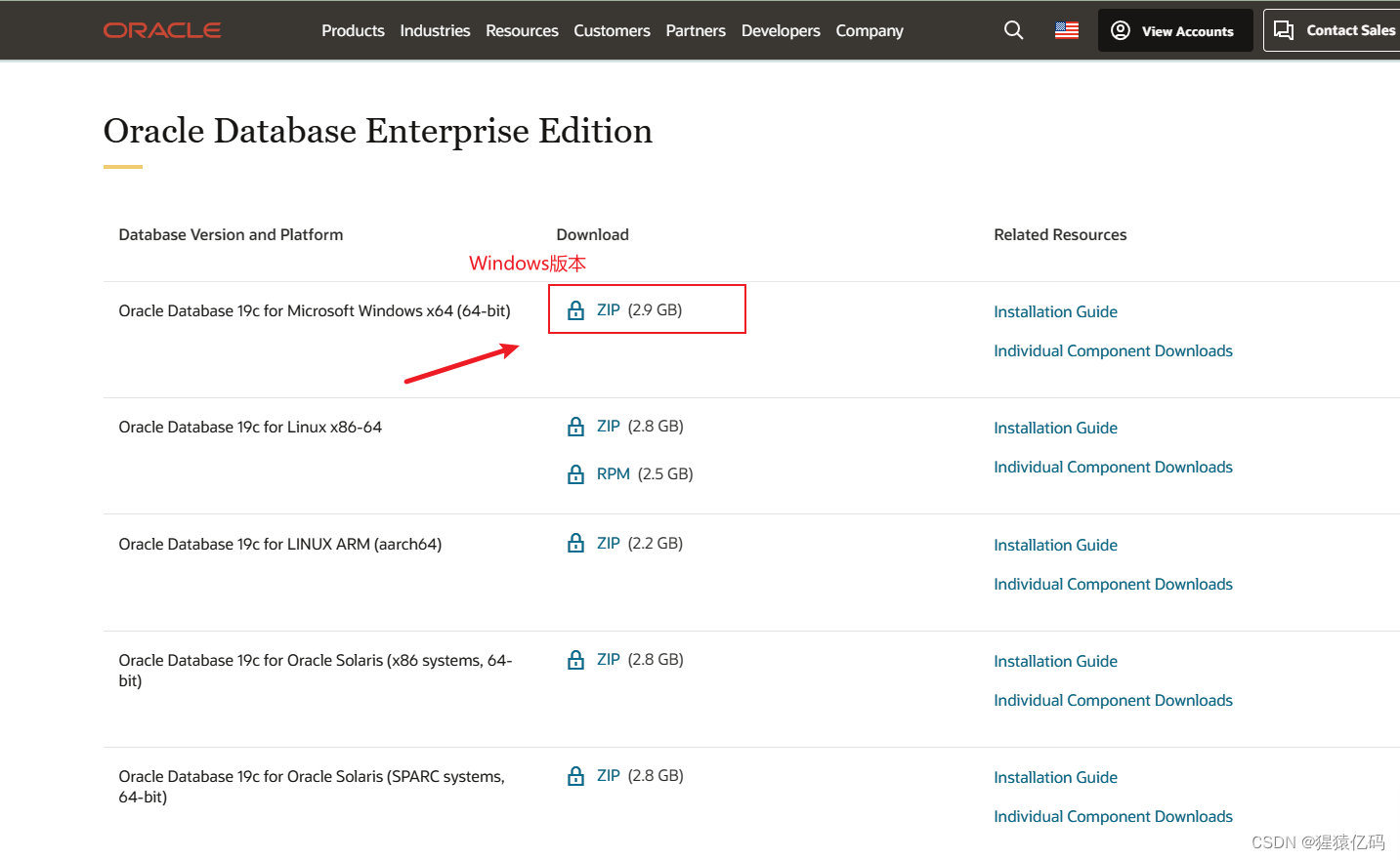 Win11安装与卸载Oracle 19c数据库_win11安装oracle19c-CSDN博客