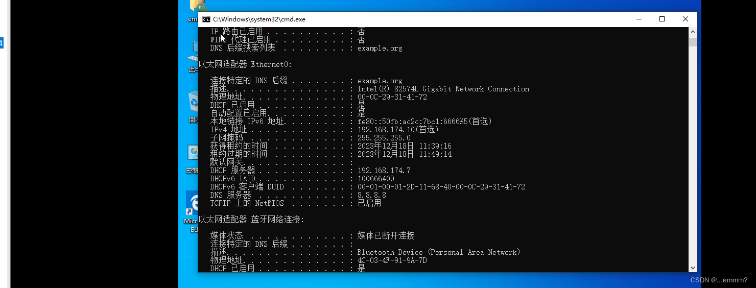 linux DHCP和DNS_linux dhcp dns-CSDN博客