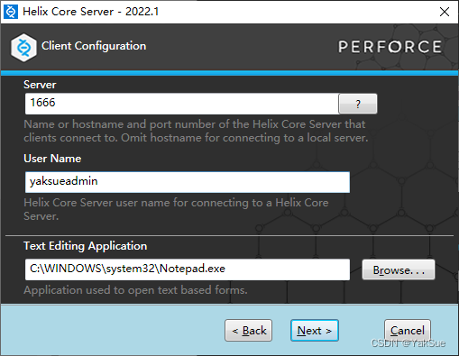 学习从零创建并配置一个P4服务器_helix core visua-CSDN博客