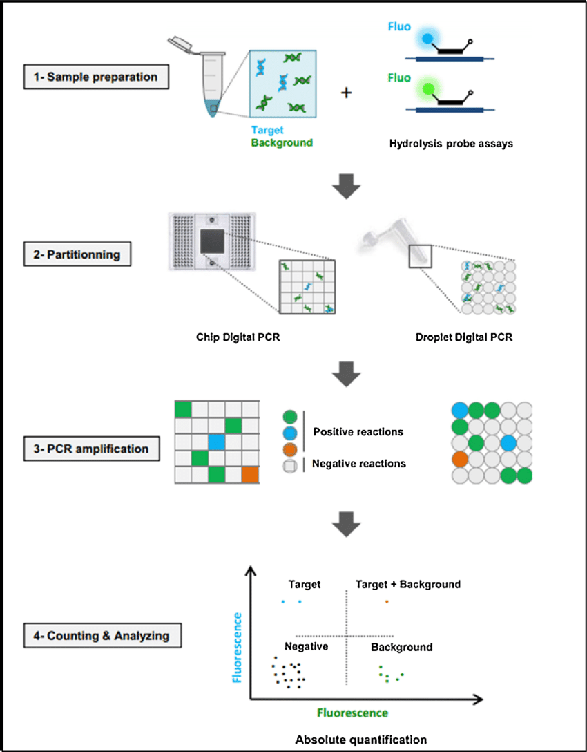 一文读懂：PCR，qPCR，Real-time PCR，RT-PCR和RT-qPCR-CSDN博客