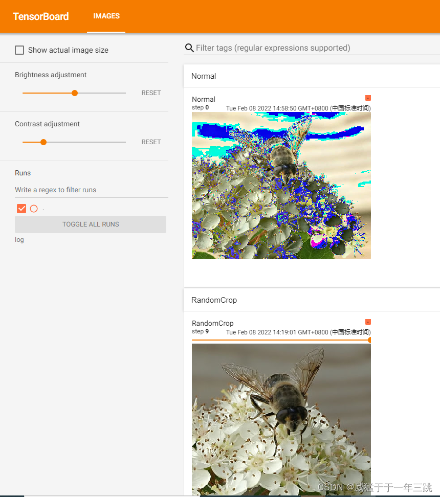 四、tensorforms 常用 类 方法 的 使用（ToTensor、Normalize、Resize、Compose、RandomCrop）-CSDN博客