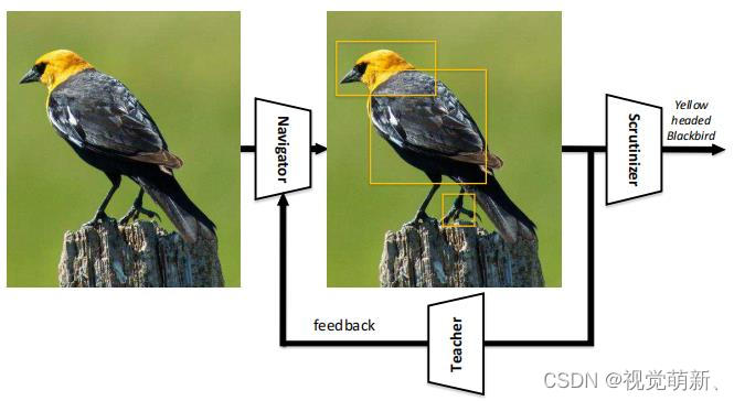 细粒度分类算法笔记汇总_pmg细粒度-CSDN博客