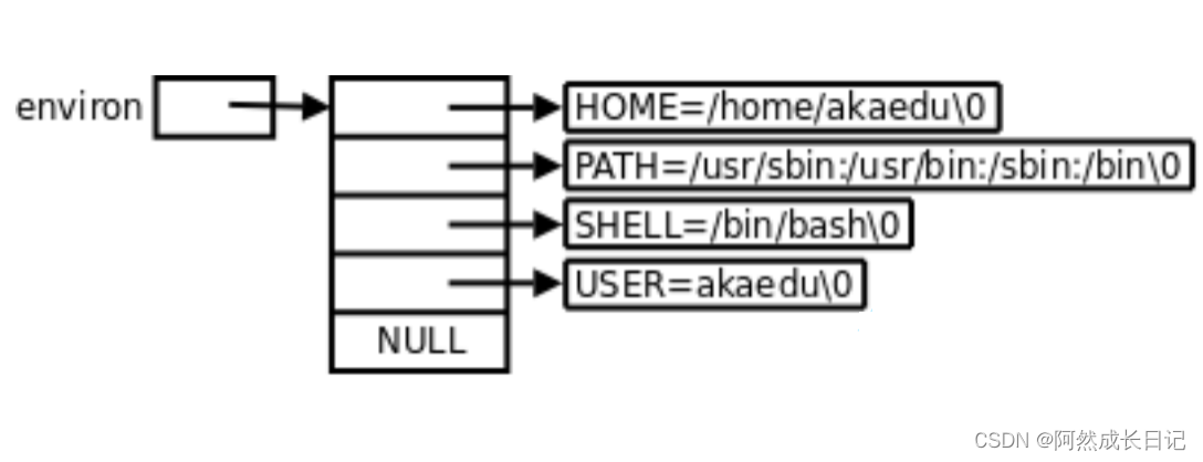 【Linux】如何查看和获取环境变量四种方法（$PATH、env表、environ、getenv）_查看环境变量-CSDN博客
