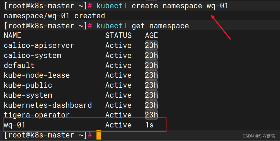 k8s-pod基本管理(namespace,pod增删查)_查看pod命令-CSDN博客