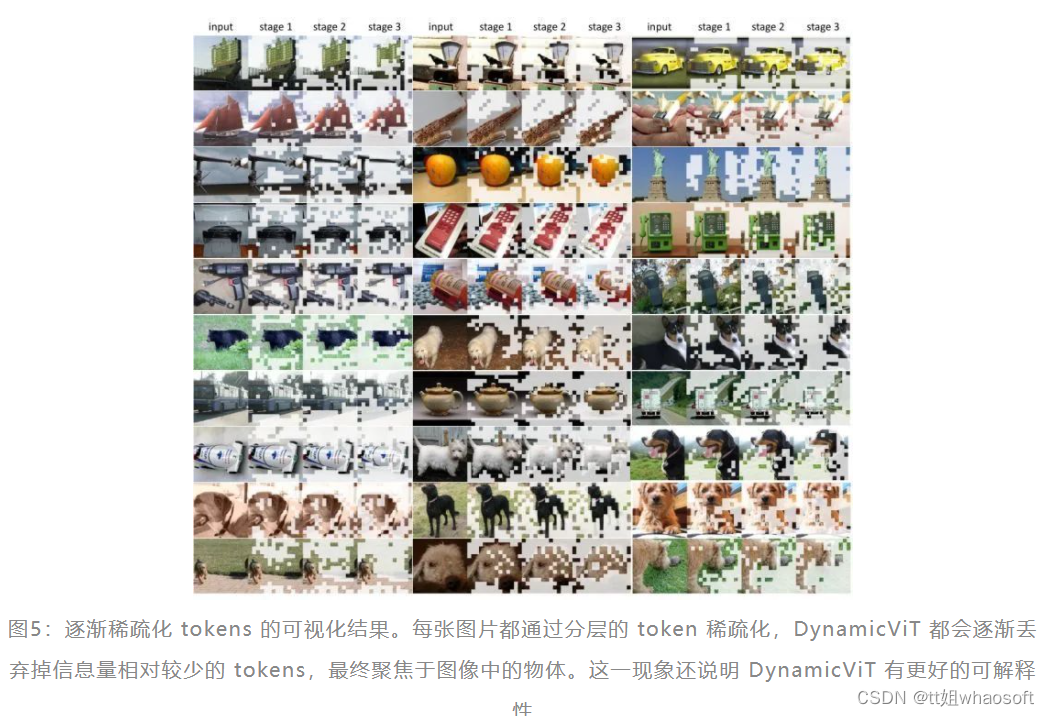 DynamicViT-CSDN博客