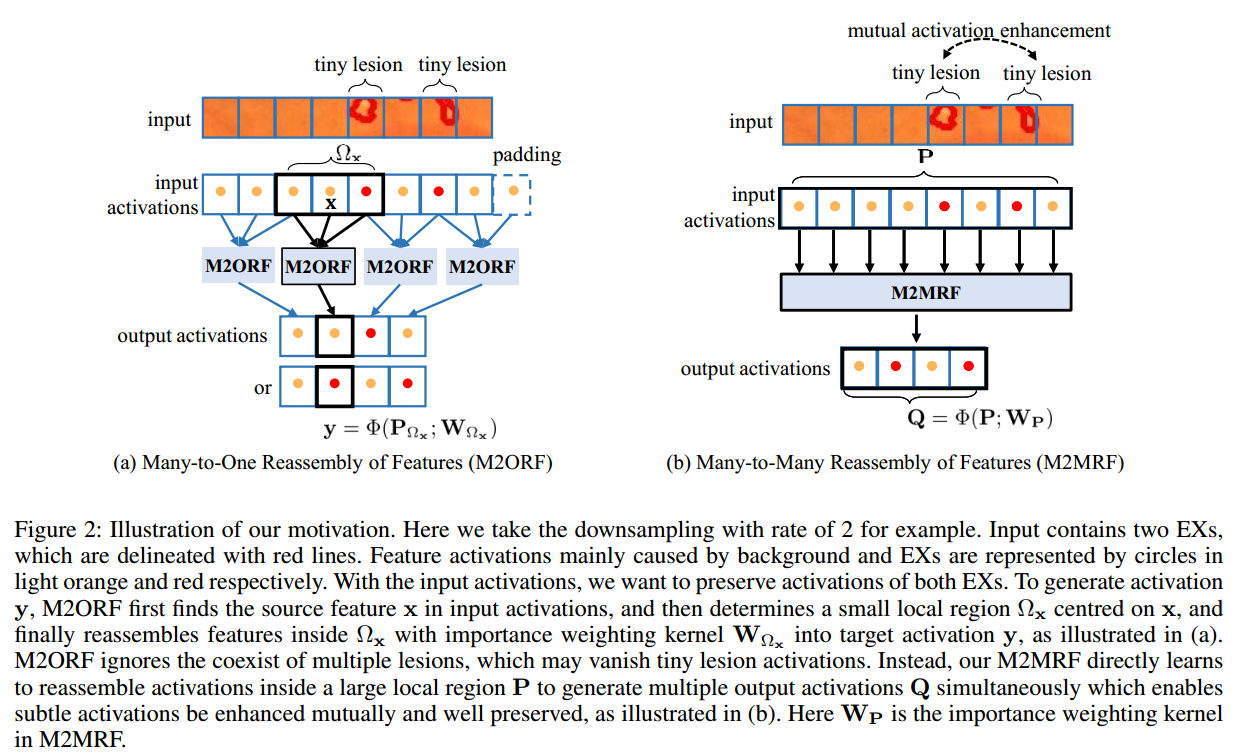 【文献阅读笔记】M2MRF: Many-to-Many Reassembly of Features for Tiny Lesion Segmentation in Fundus Images ...