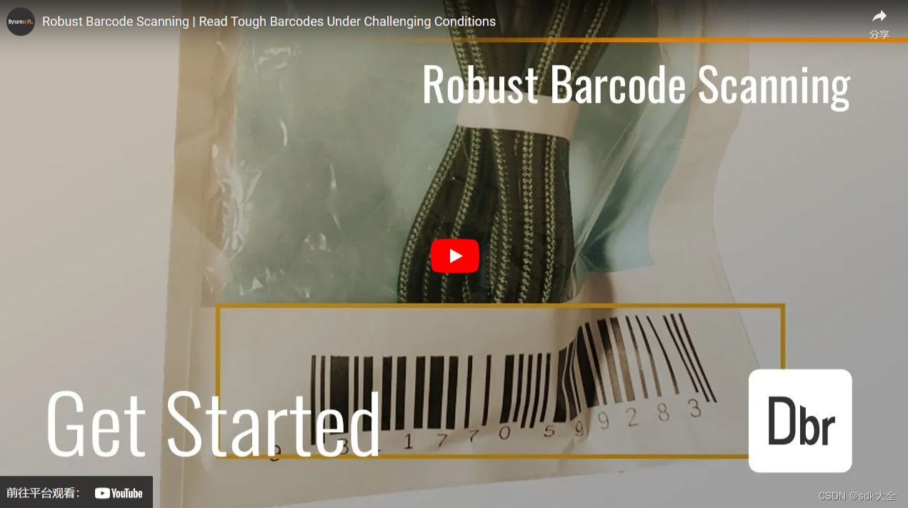 Dynamsoft BarcodeReader SDK Java 9.6.30 Crack_dynamsoft-barcode-reader-java-9.6.30-CSDN博客