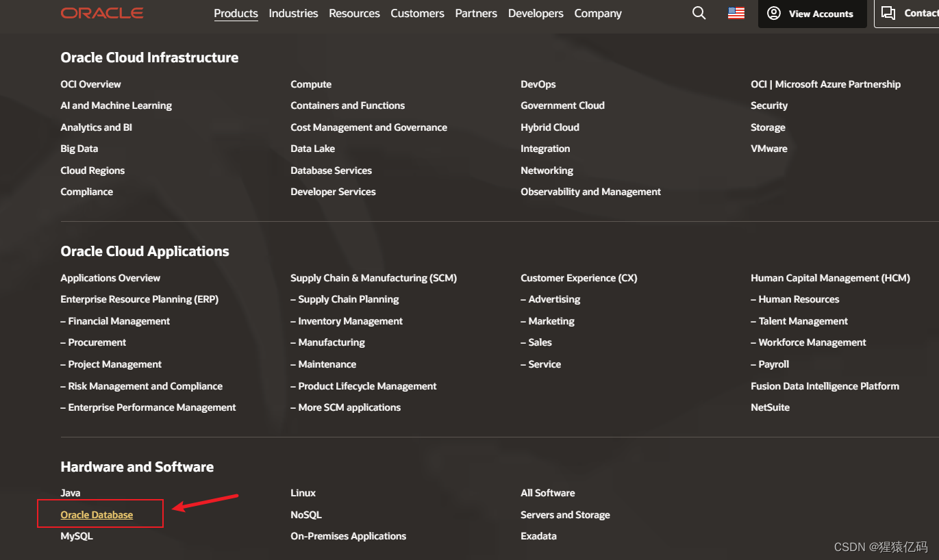 Win11安装与卸载Oracle 19c数据库_win11安装oracle19c-CSDN博客