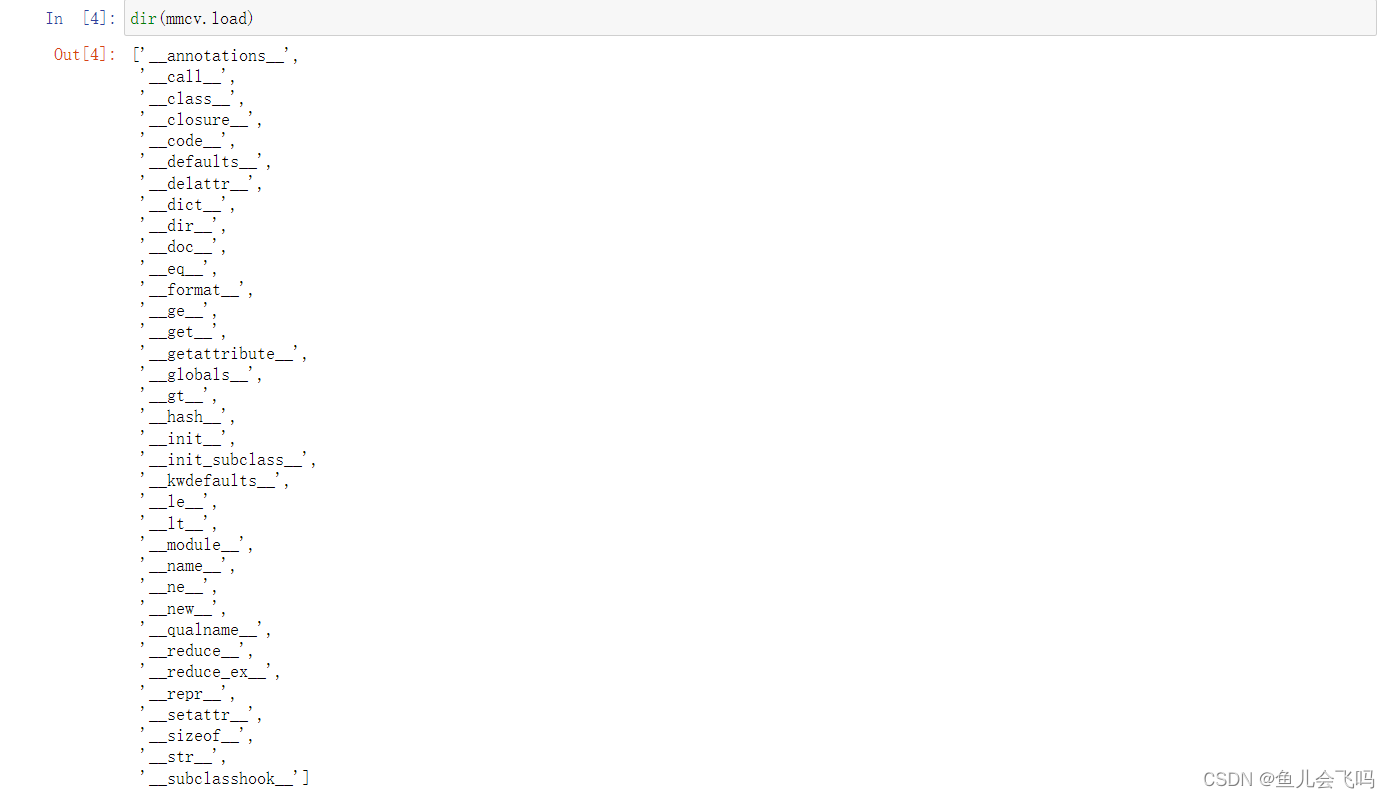 进一步解释from mmcv import load, dump_mmcv.load-CSDN博客