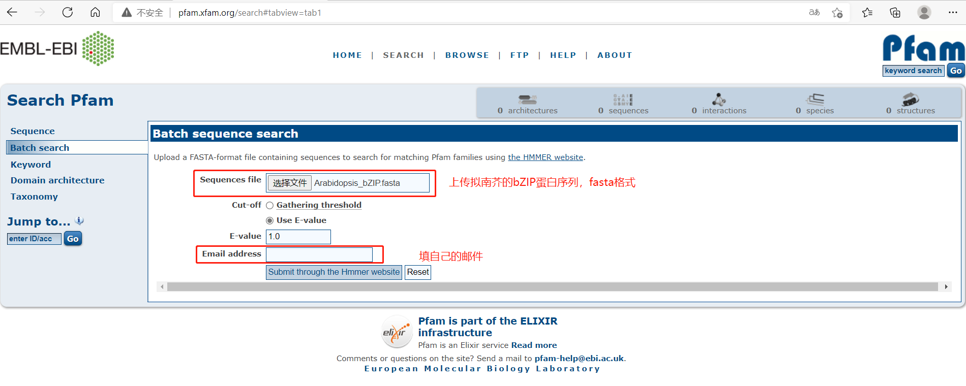 基因家族的鉴定-基于Windows系统上的HMMER_hmmer基因家族分析-CSDN博客