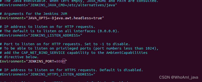 如何在Ubuntu 18.04上修改jenkins端口号（亲测）_ubuntu修改jenkins端口-CSDN博客