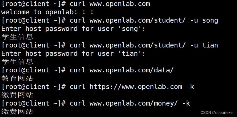 构建OpenLab多站点权限管理与HTTPS加密访问-CSDN博客