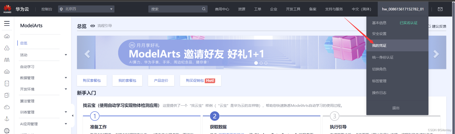 ModelArts快速上手_modelarts导入数据集图片-CSDN博客