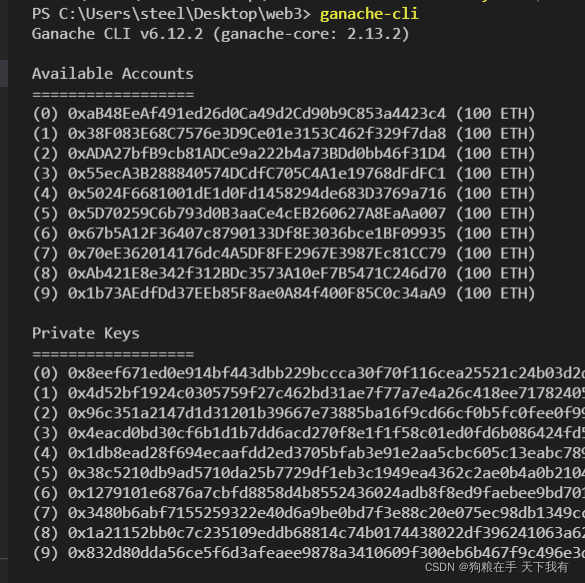 本地vscode搭建solidity环境vscode Solidity Csdn博客