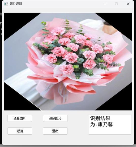 基于python深度学习的CNN图像识别鲜花-含数据集+pyqt界面_cnn花卉识别pytorch-CSDN博客