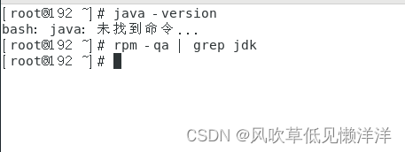 ContOS卸载与安装JDK_centos卸载jdk-CSDN博客