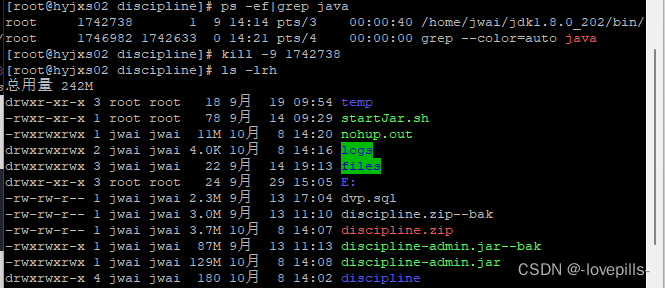 重启Java应用-CSDN博客