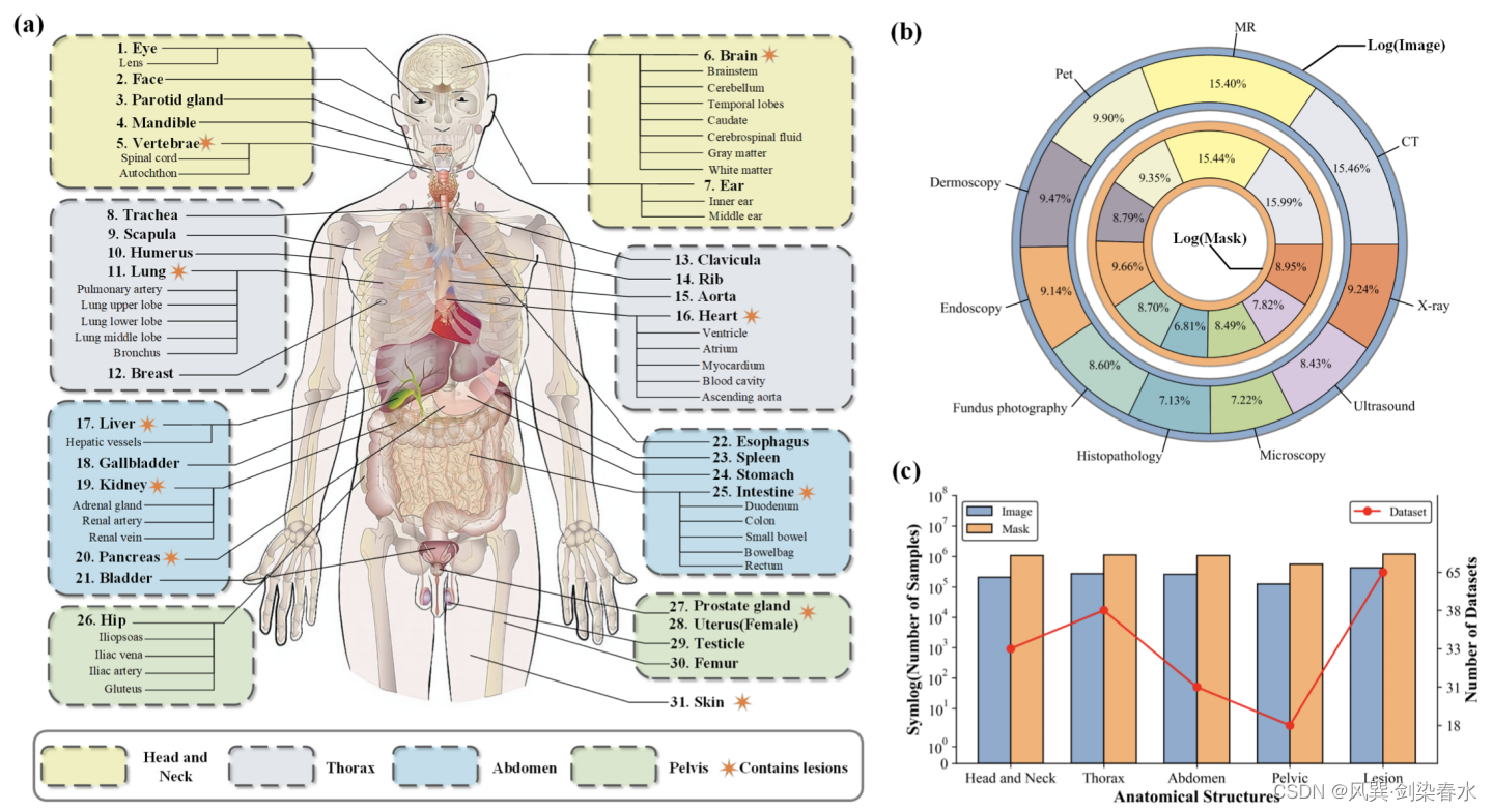【SAM综述】医学图像分割的分割一切模型：当前应用和未来方向_segment anything model for medical image segmentat-CSDN博客