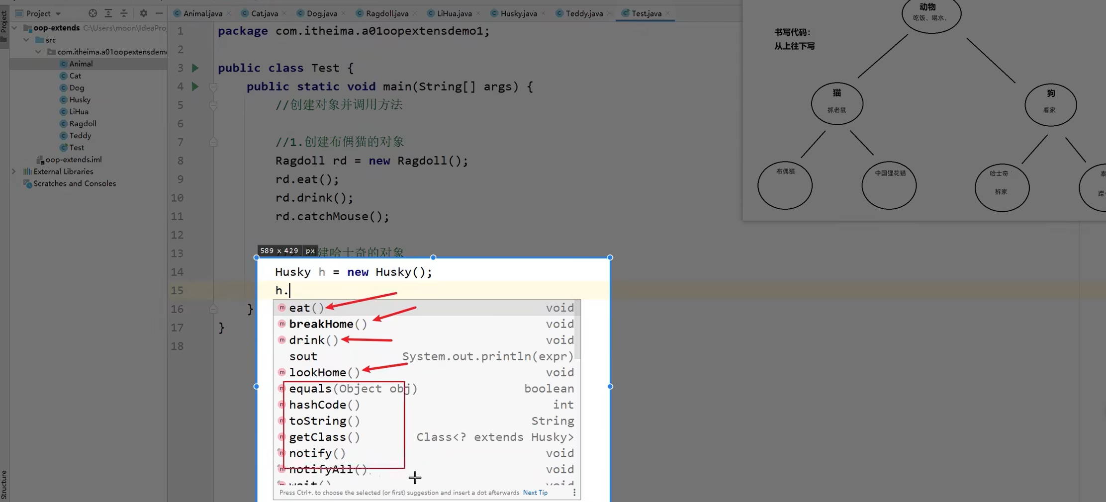 java202302java学习笔记第二十天-继承的特点3-CSDN博客